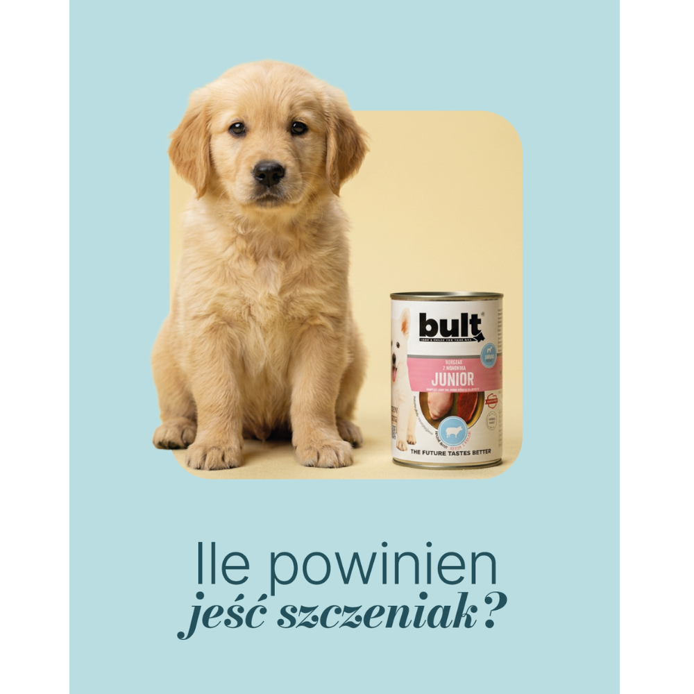 BULT BAR przysmak dla psa batonik proteinowy wołowina 75 g